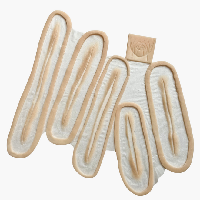 Full Collection of High Quality Silicone Prosthetics for SFX ...